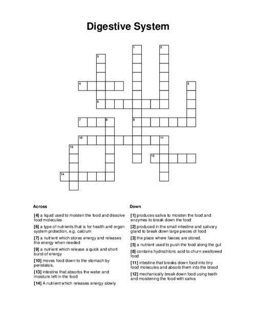 Digestive System Crossword Puzzle Digestive System Crossword Puzzle