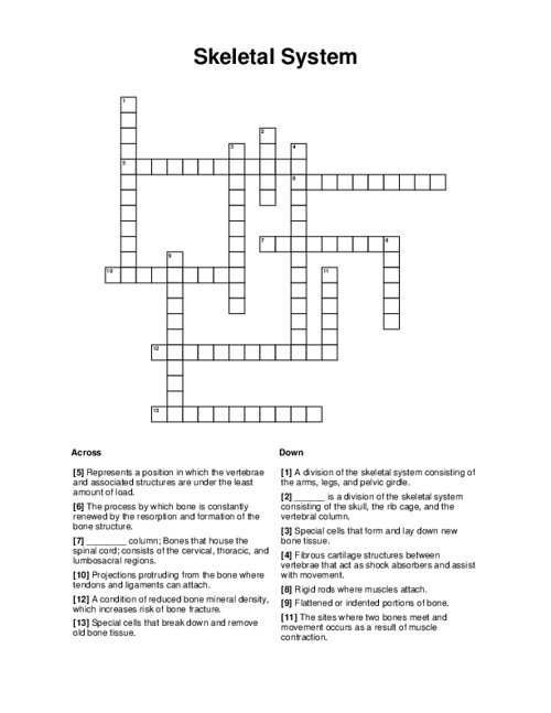 Skeletal System Crossword Puzzle Skeletal System Crossword Puzzle