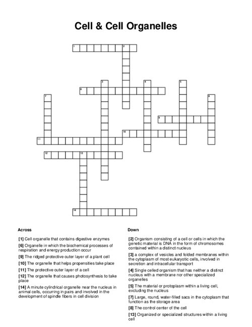 Cell Cell Organelles Crossword Cell Cell Organelles Crossword
