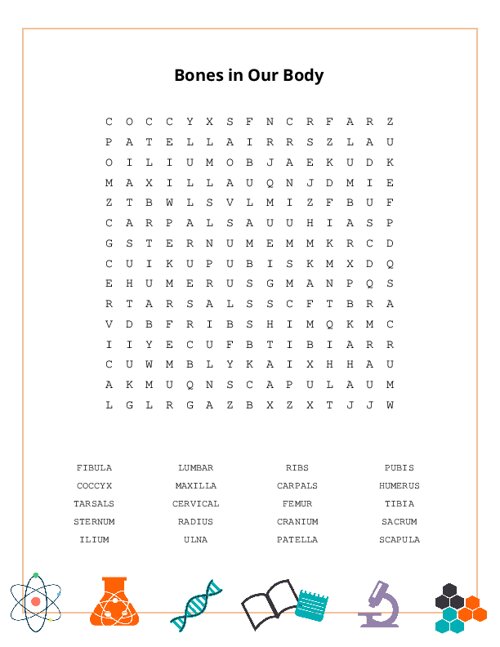 Bones In Our Body Word Search
